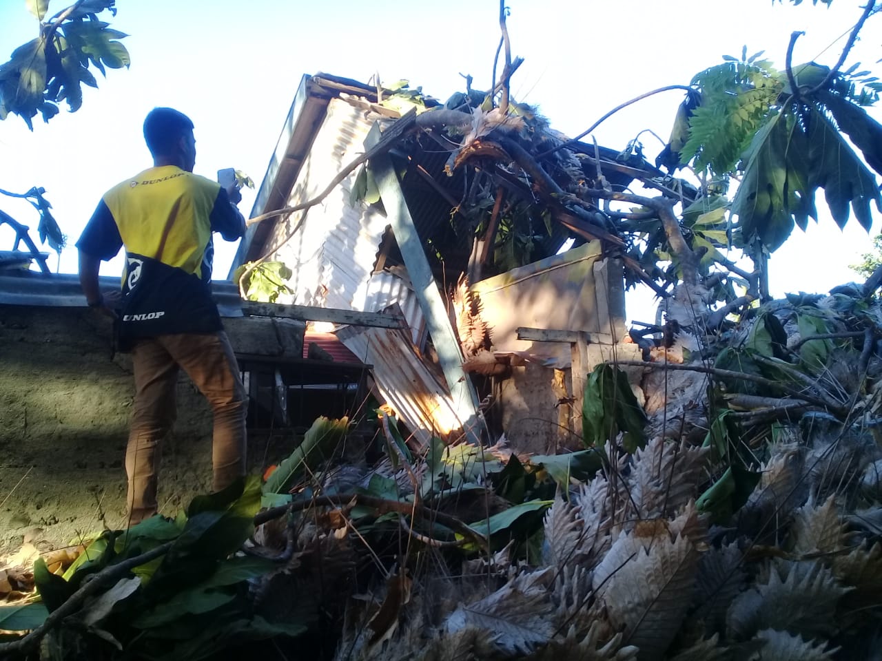 Pohon Tumbang Timpa Rumah. Empat Warga Terluka - Ujung Jari