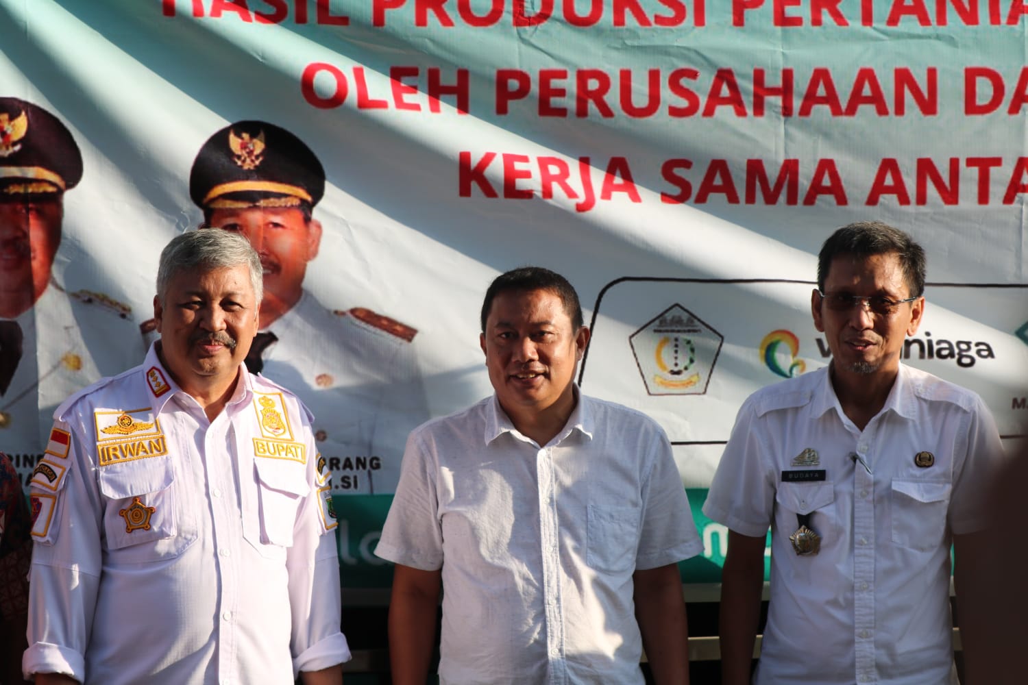 Surplus Hasil Pertanian, Pemkab Pinrang Ekspor Keluar Pulau Hasil Panen ...