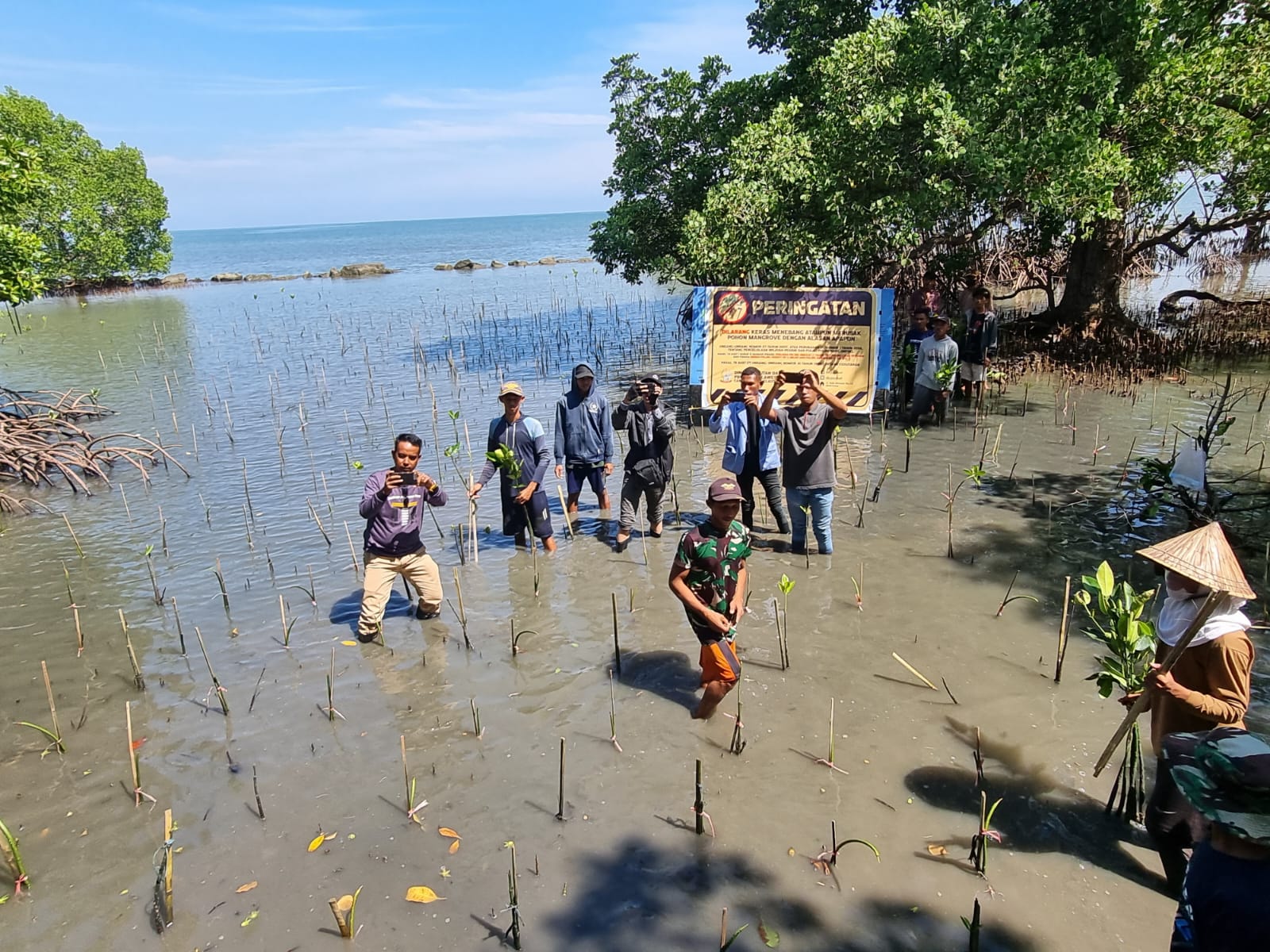 Lestarikan Lingkungan Dengan Tanam 38 Ribu Batang Mangrove - Ujung Jari