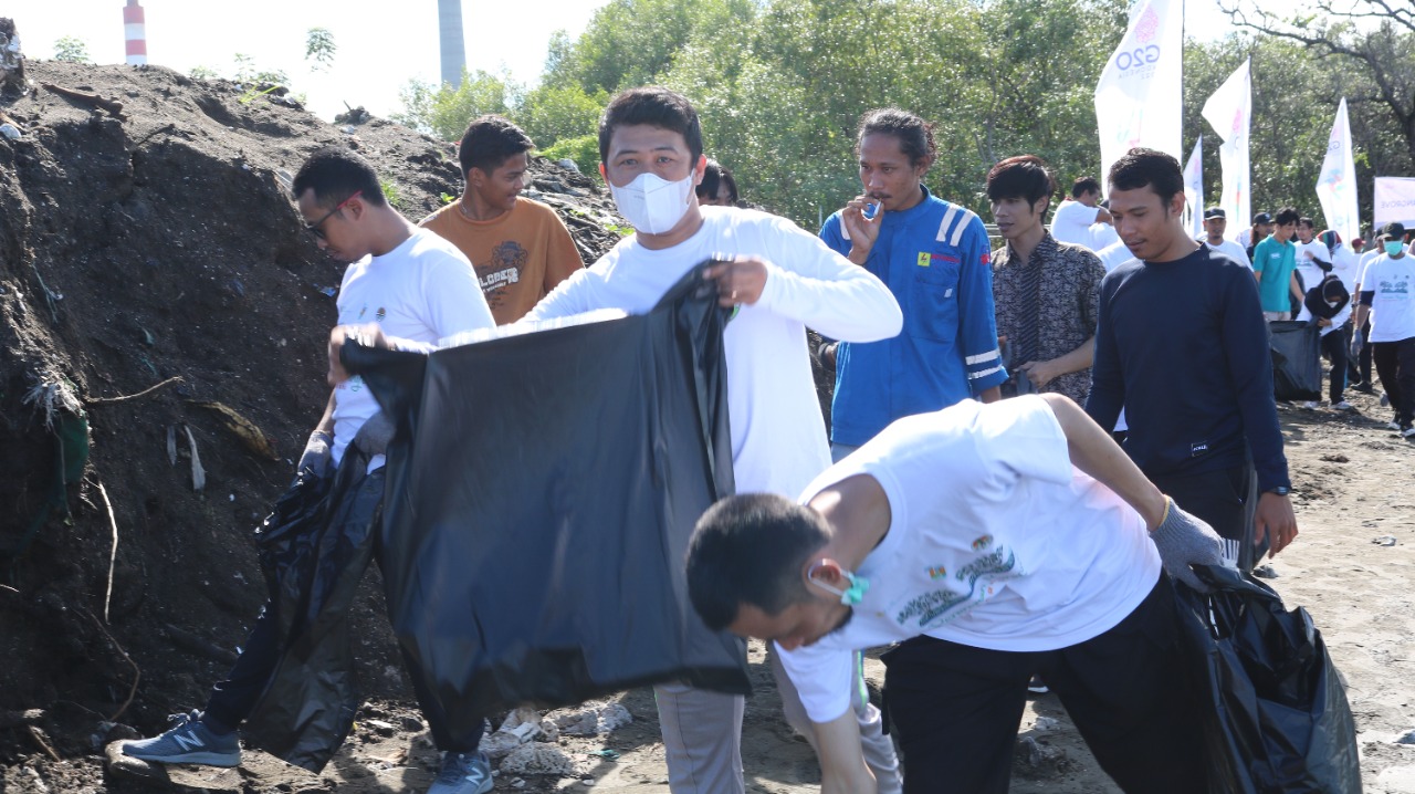PT PLN Indonesia Power PLTU Barru Tanam 1000 Pohon Mangrove dan Bersih ...