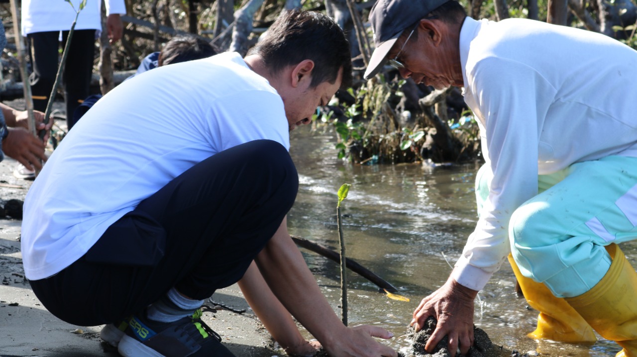 PT PLN Indonesia Power PLTU Barru Tanam 1000 Pohon Mangrove dan Bersih ...