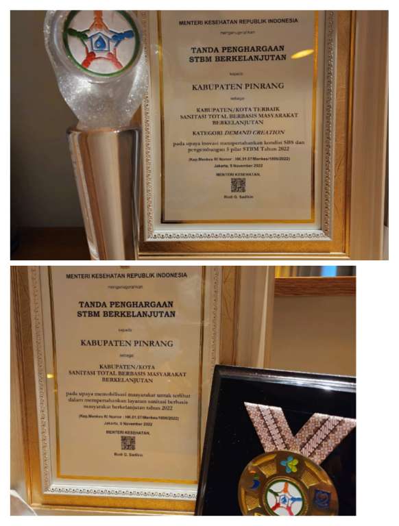 Pemkab Pinrang Raih 2 Penghargaan Bidang Kesehatan dari Kemenkes RI ...