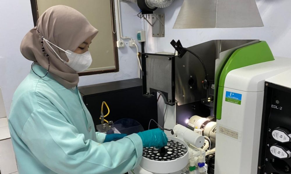 Hasil Uji Lab: Ikan Mati di Laut Hijau Selayar Aman di Komsumsi – Ujung ...