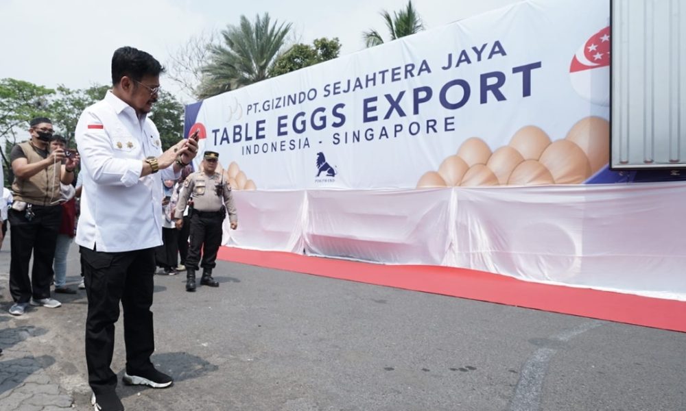 Menyusul Karkas Ayam Beku dan DOC, Indonesia Berhasil Ekspor Telur ke Singapura – Ujung Jari
