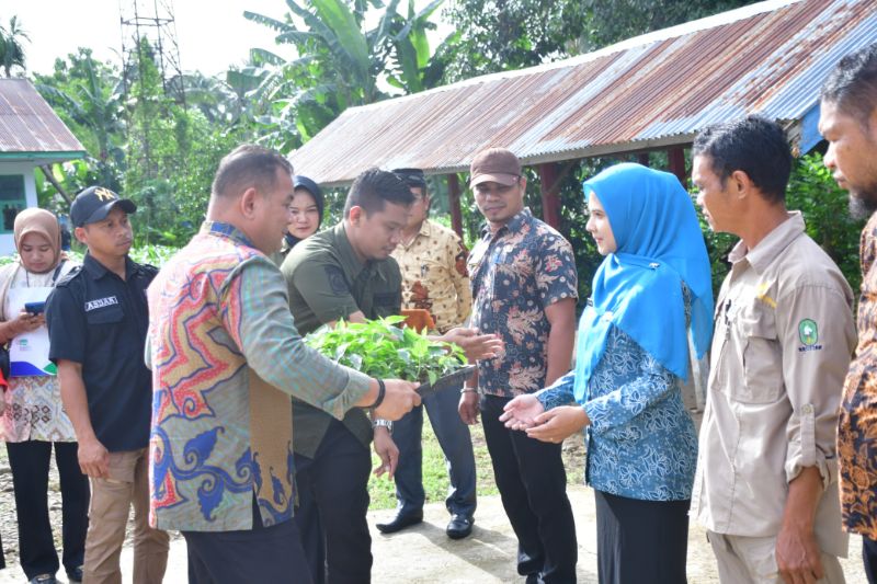 Manfaatkan Lahan Kantor jadi Produktif, Pj Bupati Serahkan Bibit Cabai ke TP PKK Sinjai Tengah ...