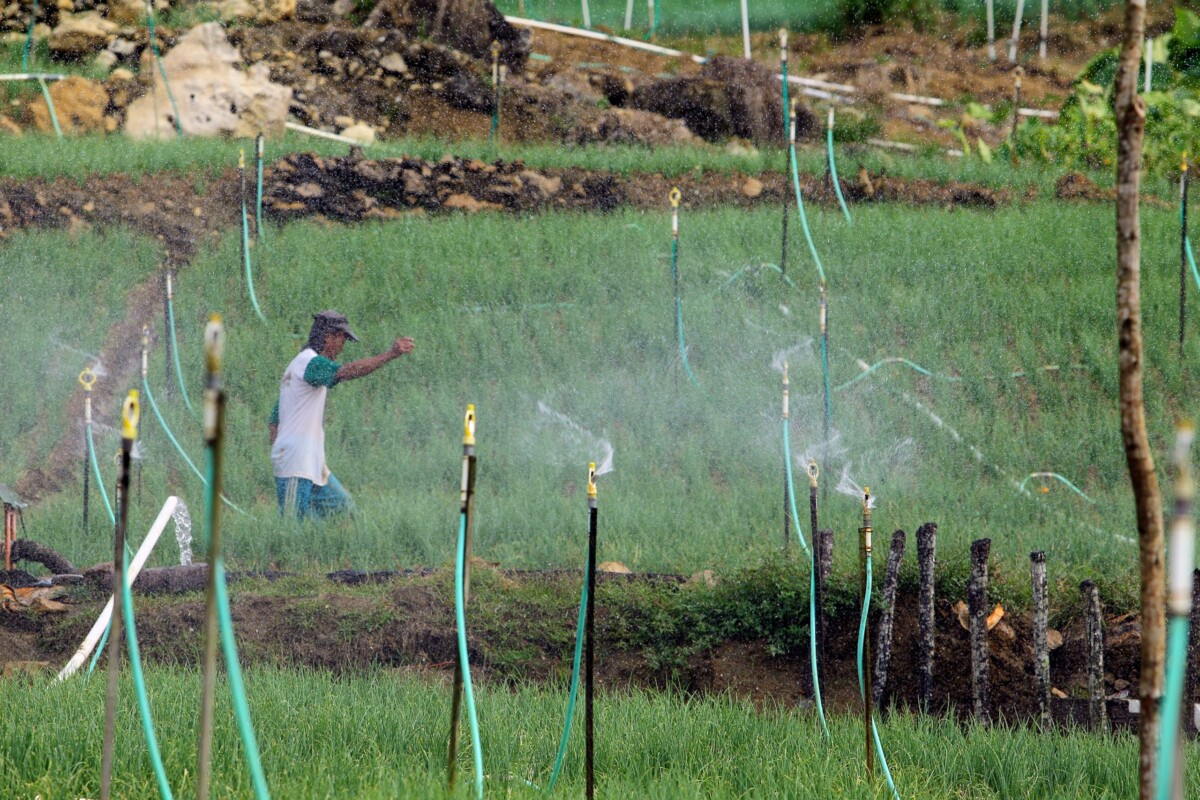 Enrekang, Daerah Agribisnis Penopang Kebutuhan Pangan Ibu Kota ...