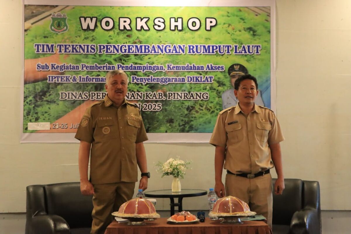 Pinrang Serius Kembangkan Rumput Laut: Bupati Irwan Buka Workshop ...